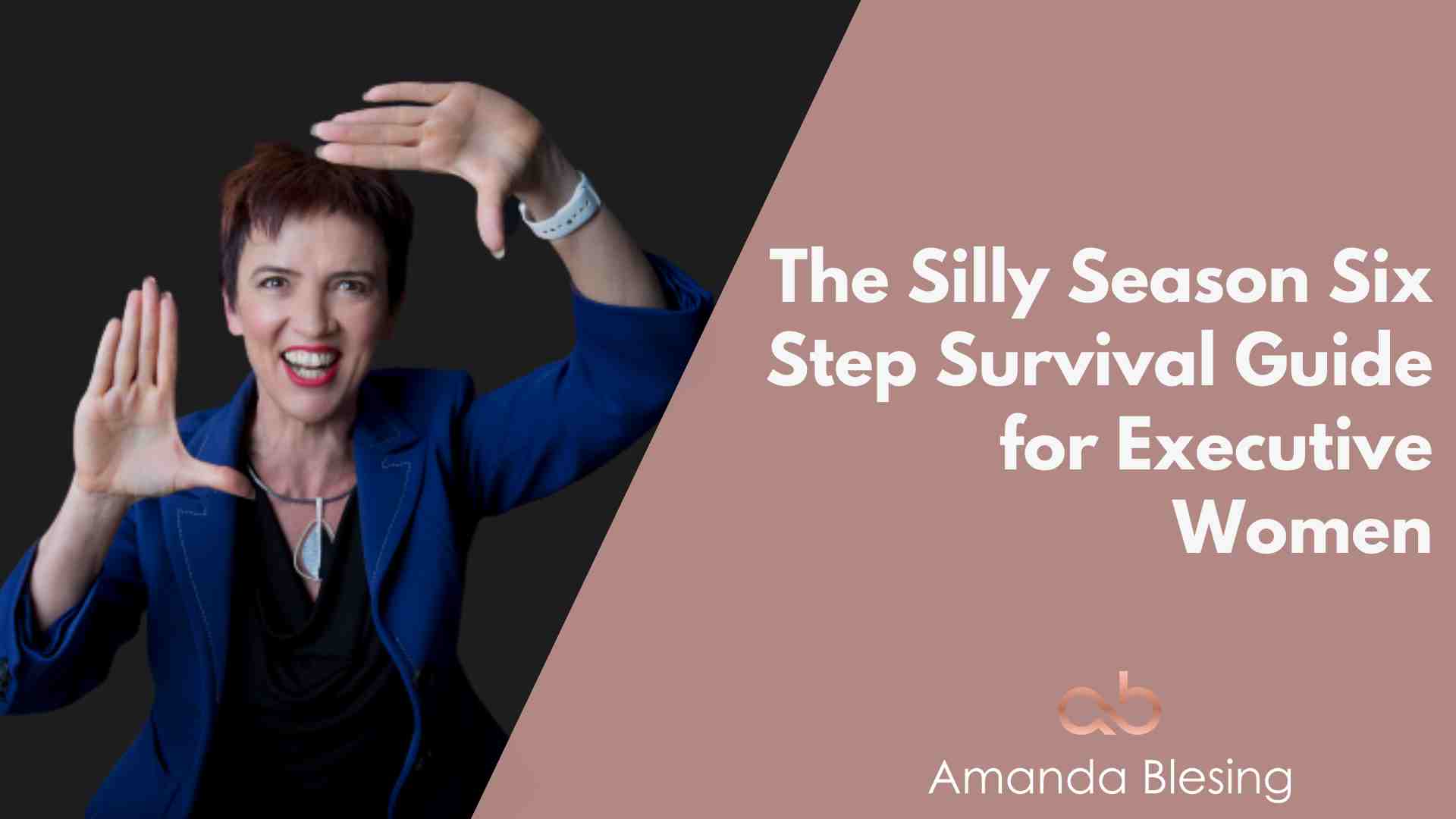 The Silly Season Six Step Survival Guide for Executive Women | Amanda ...
